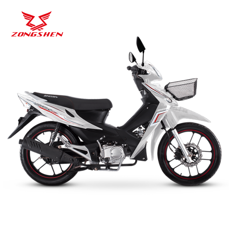 ZS110 – Lucero tu tienda online!