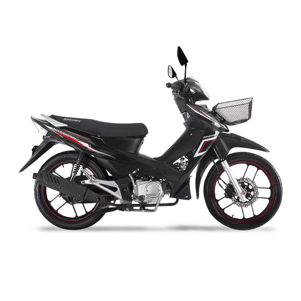 ZS110 – Grupo Lucero