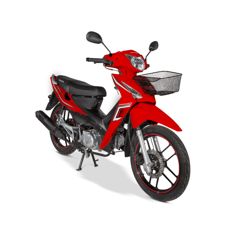 ZS110 – Lucero tu tienda online!