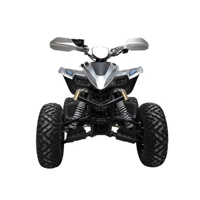PREDATOR 250 – Lucero tu tienda online!